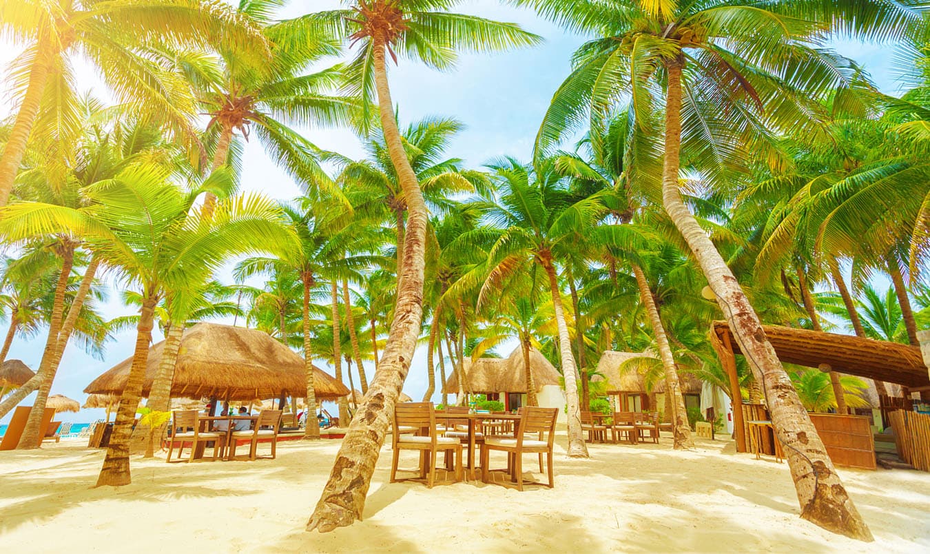 Vacation Home Rentals Playa Del Carmen Cheapest Place To Book Hotel In Vacation Home Rentals Playa Del Carmen Cheapest Place To Book Hotel In
